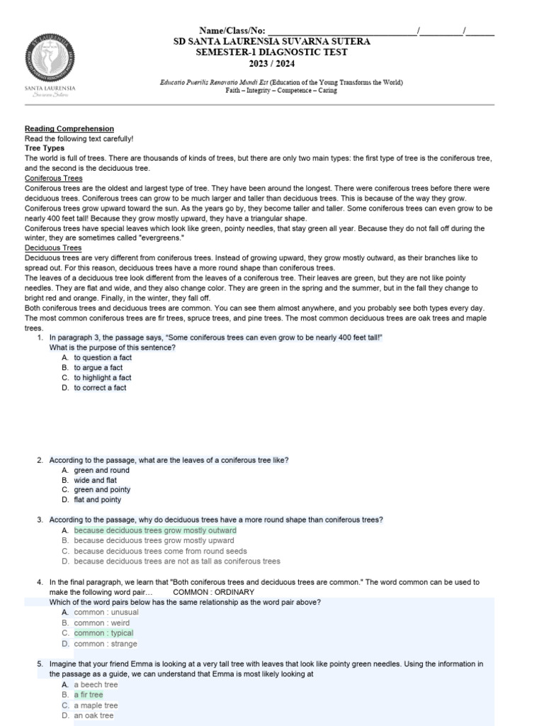 Diagnostic Test Grade 6 Sem 2 | PDF | Trees | Fir
