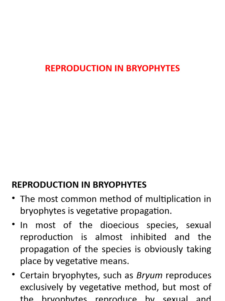 Bryophyte Reproduction Methods Explained | PDF | Fertilisation | Sperm