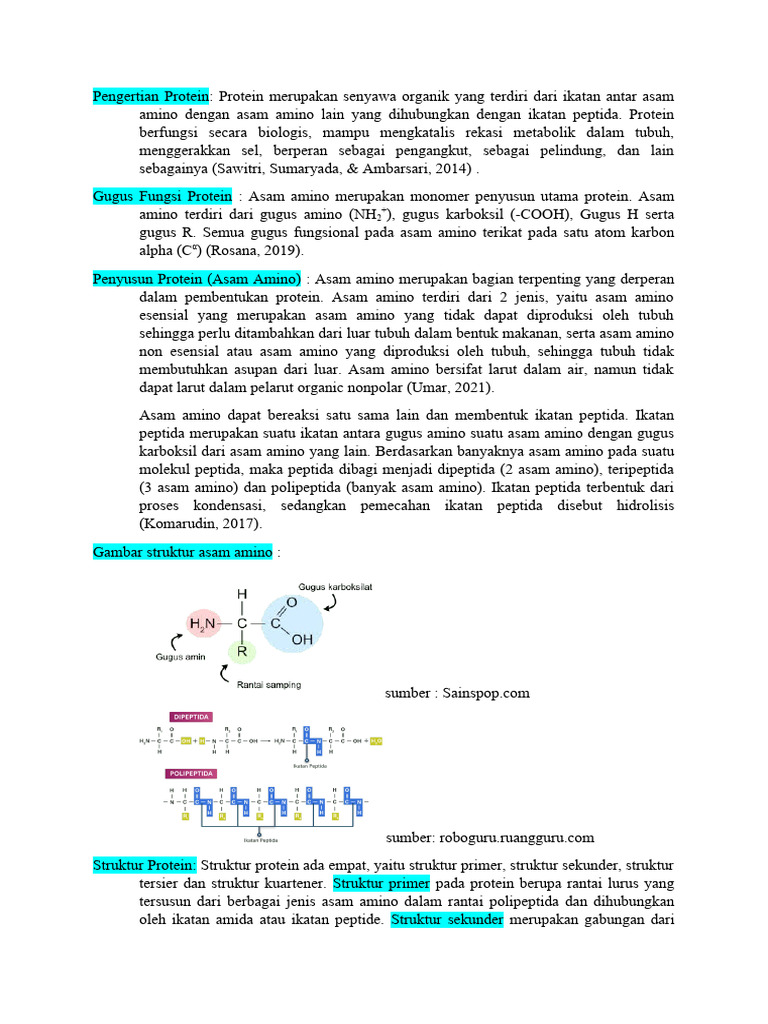 Denaturasi dan Struktur Protein | PDF | Sains & Matematika
