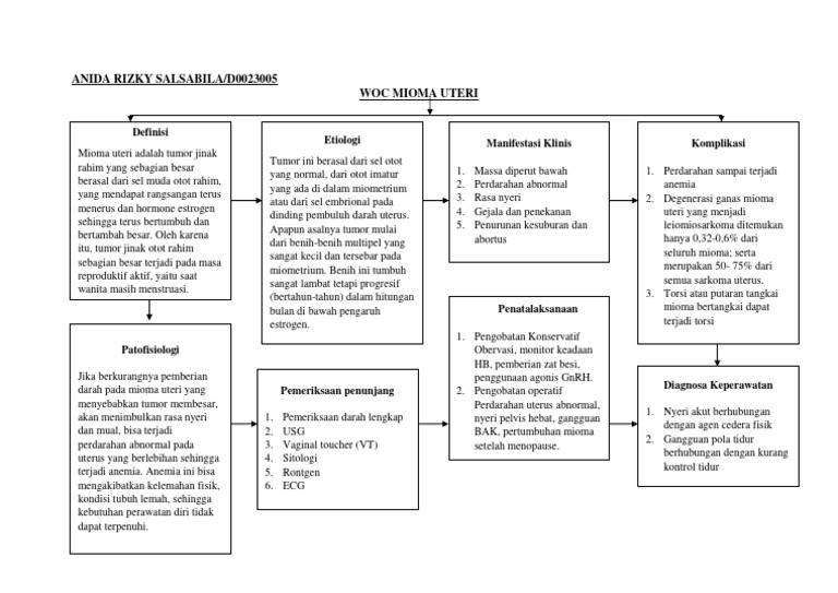 LP Woc Mioma Uteri | PDF