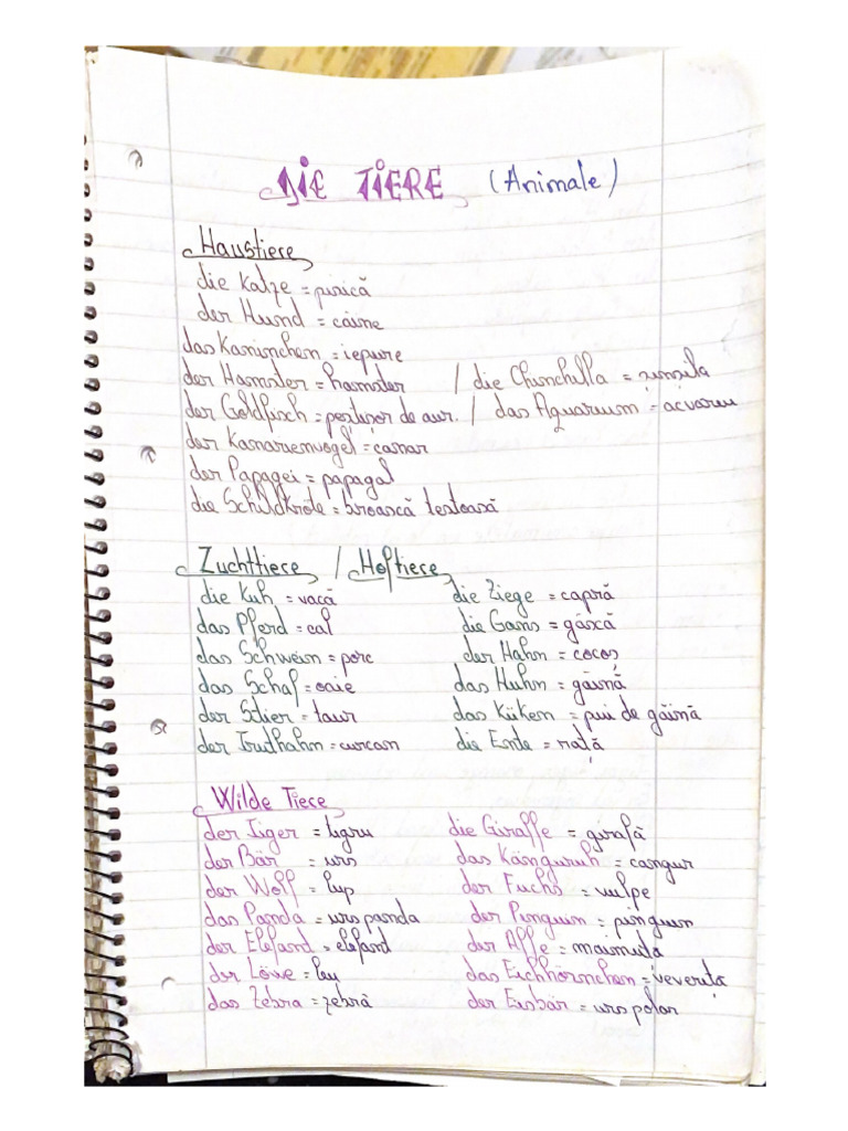 Die Tiere Lernen | PDF