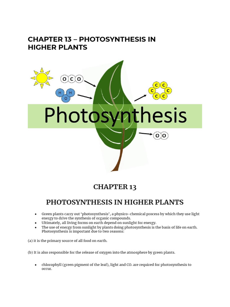 Ch-13 - Photosynthesis in Higher Plants | PDF | Photosynthesis ...