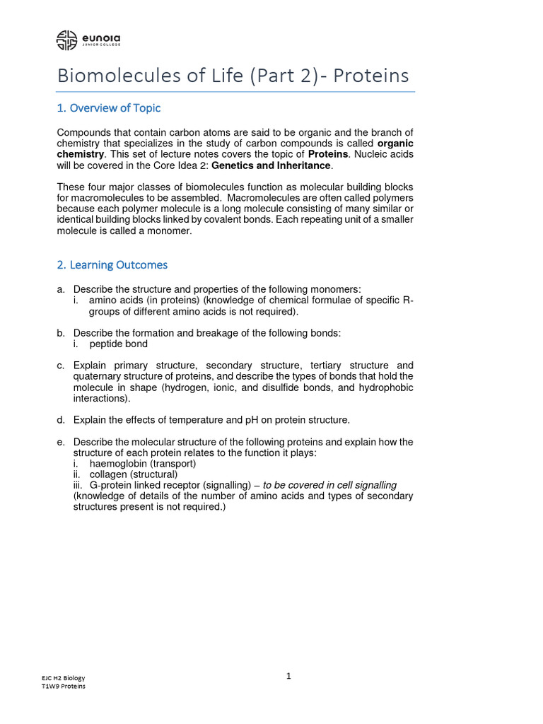 Biomolecules of Life (Part 2) - Proteins | PDF | Protein Structure ...