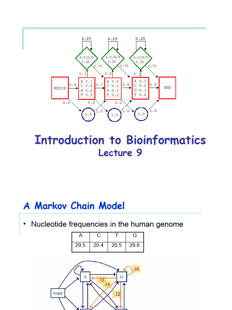 Bioinformatics-Lesson 07 - Hidden Markov Model | Download Free PDF | Markov Chain | Applied ...