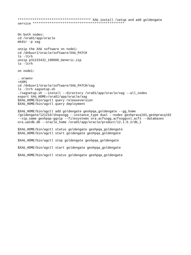 XAG Setup and Goldengate Configuration | PDF | Business
