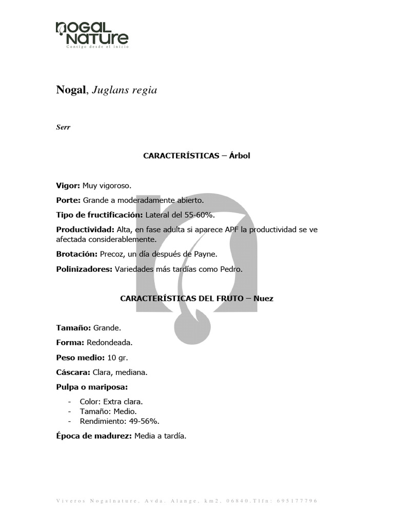 4 Ficha Tecnica Nogal Serr | PDF