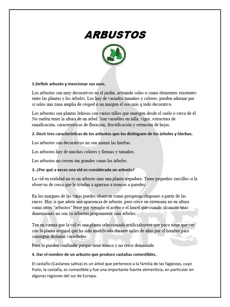Características y Tipos de Arbustos | PDF | Arboles | Tallo de la planta