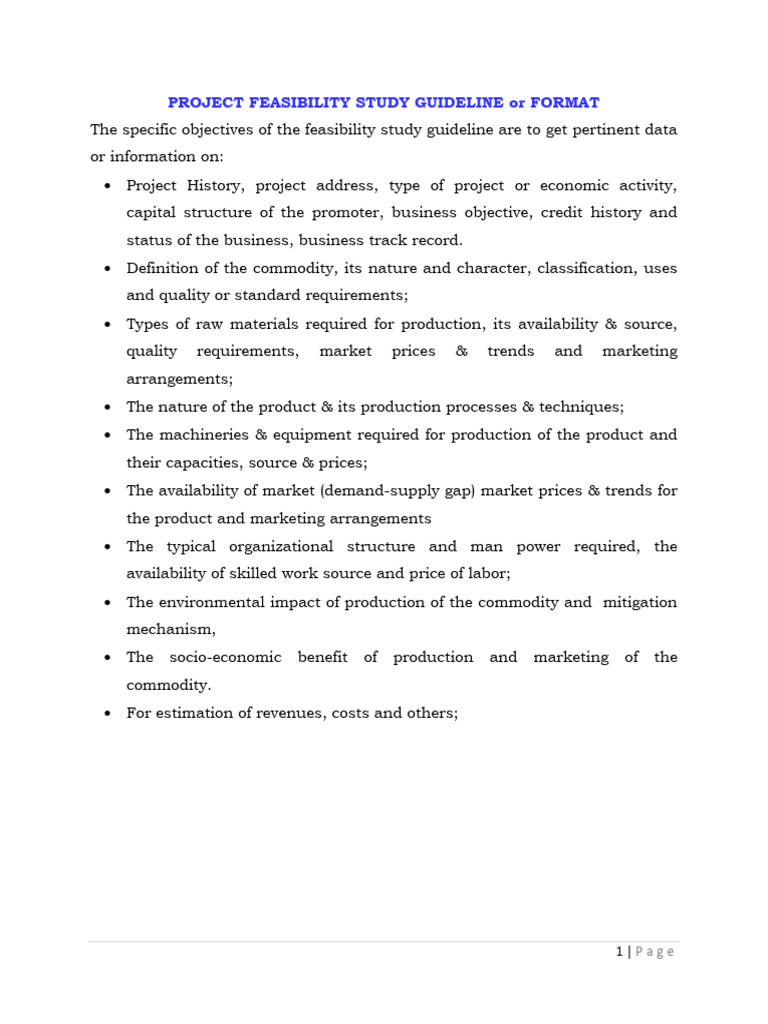 Project Feasibility Study Guideline or Format | PDF | Feasibility Study ...