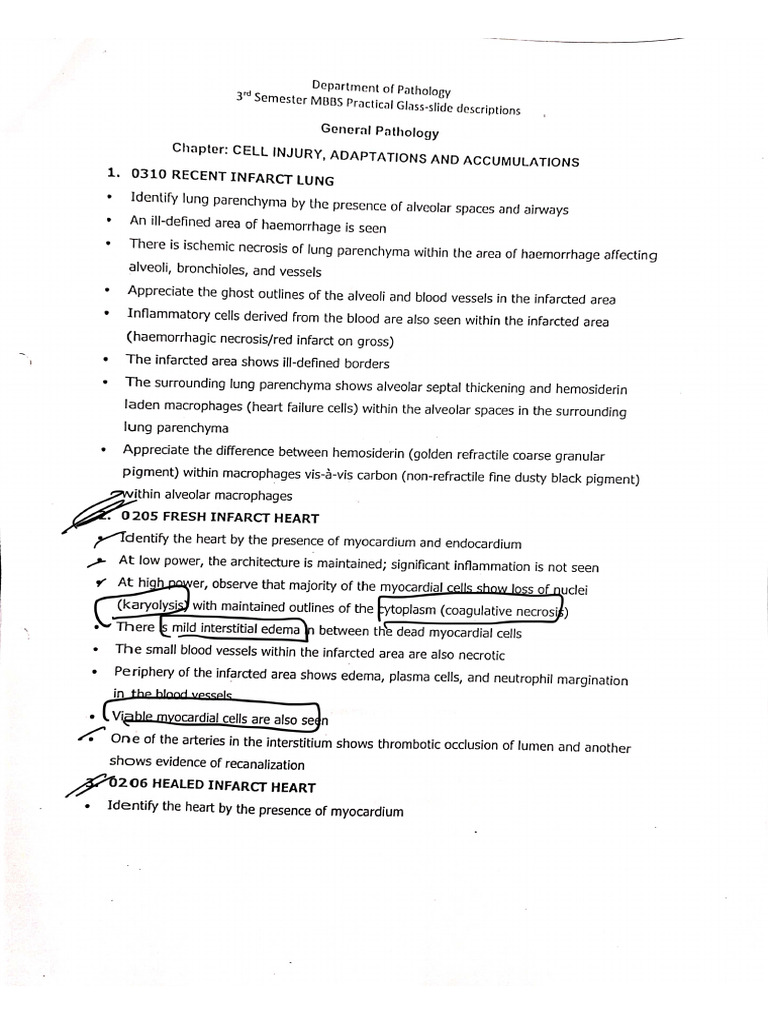 Path Practical Handout | PDF