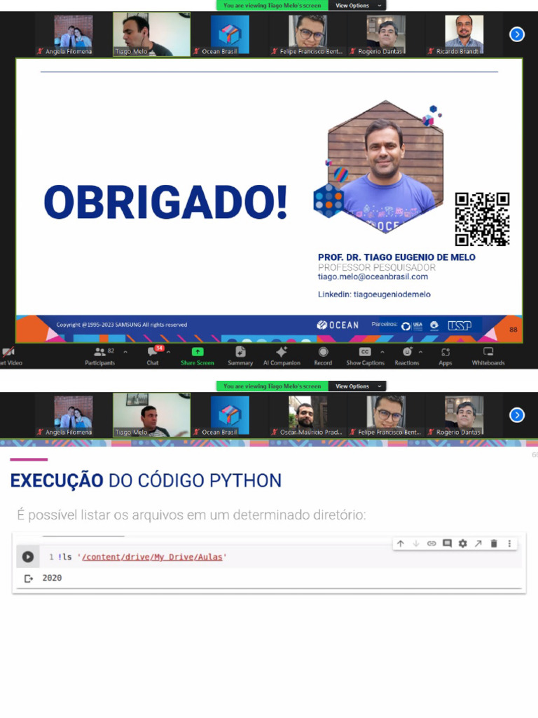Execução Código Python | PDF