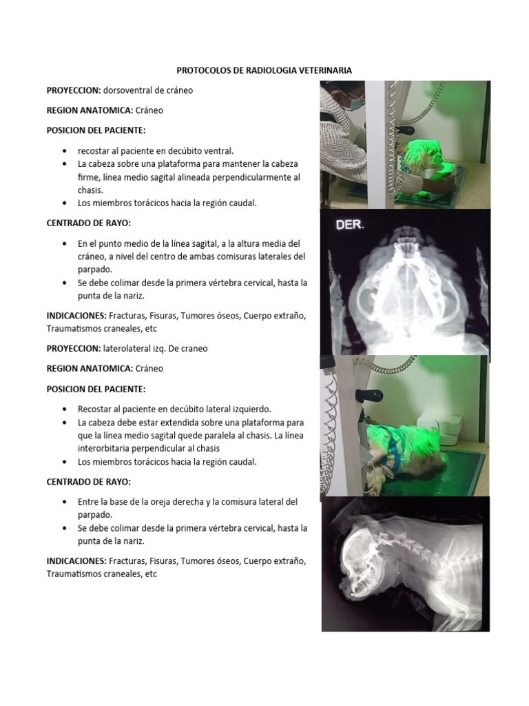 Proyecciones RRX | PDF | Lesión | Pelvis