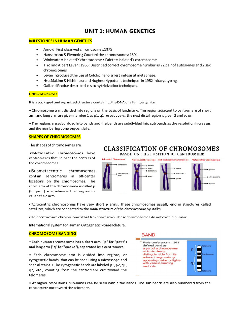Basics of Human Genetic | Download Free PDF | Fluorescence In Situ Hybridization | Karyotype
