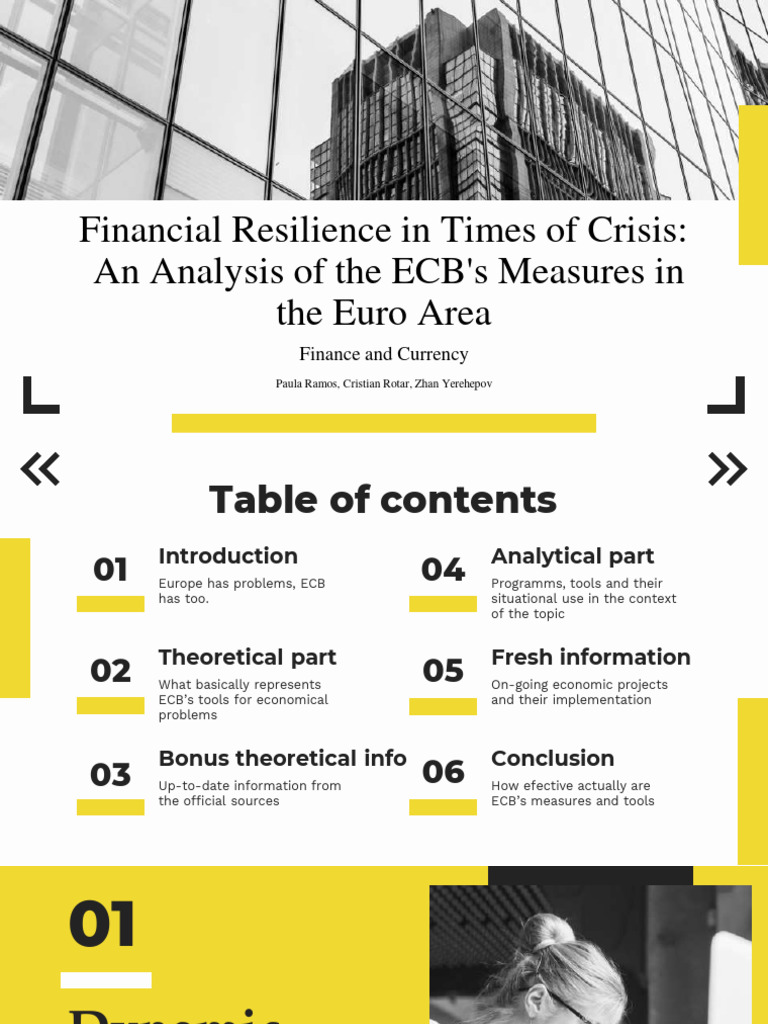 FaC Project | PDF | European Central Bank | Eurozone