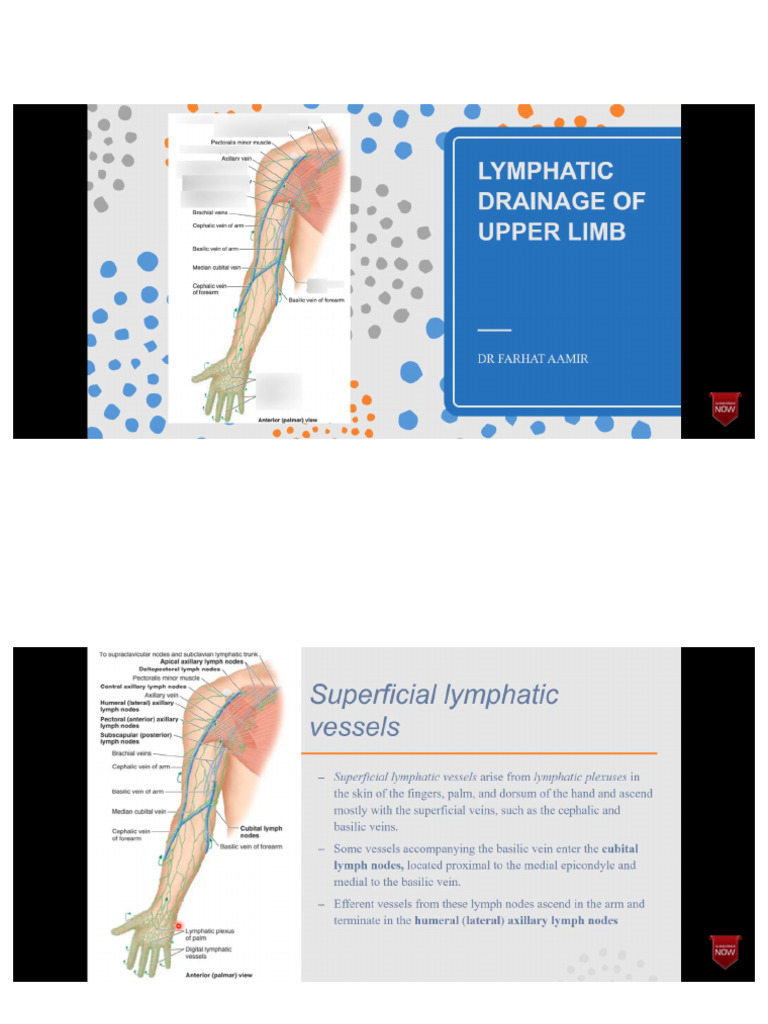 Lymphatic Drainage Of Upper Limb Pdf 9615