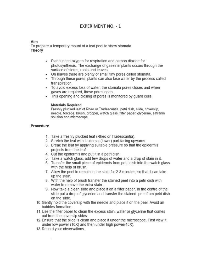 BIO PRACTICAL 10 Class CBSE India | PDF | Seed | Stoma
