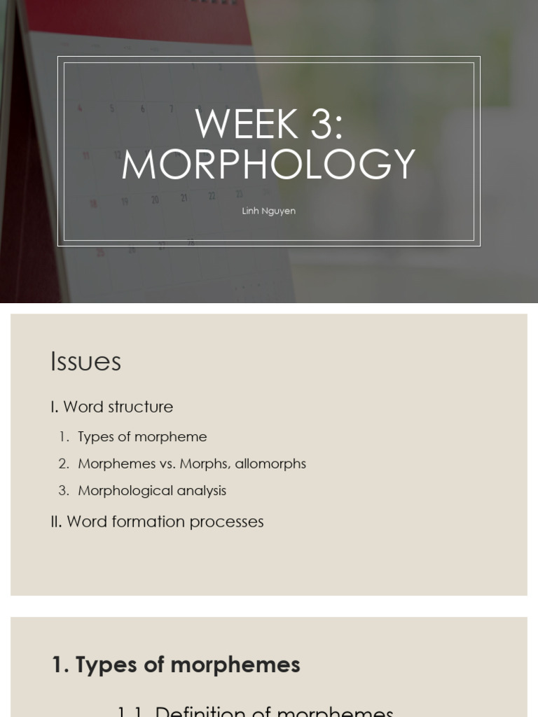 SOL-week 3 | PDF | Word | Part Of Speech