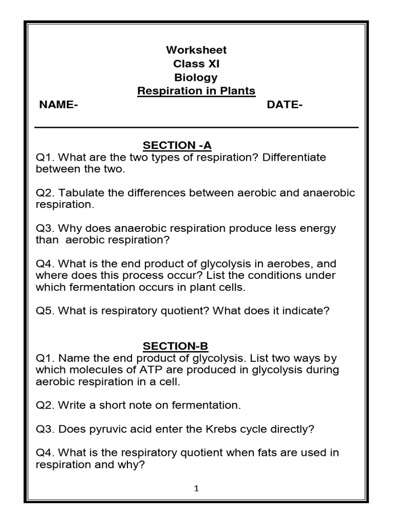 CBSE Class 11 Biology Worksheet - Respiration in Plants | PDF