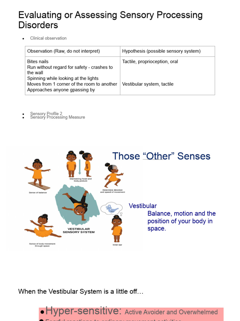 Sensory Based Intervention For Interns | PDF | Somatosensory System | Perception