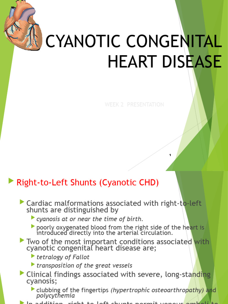 CCHD | PDF | Heart | Congenital Heart Defect