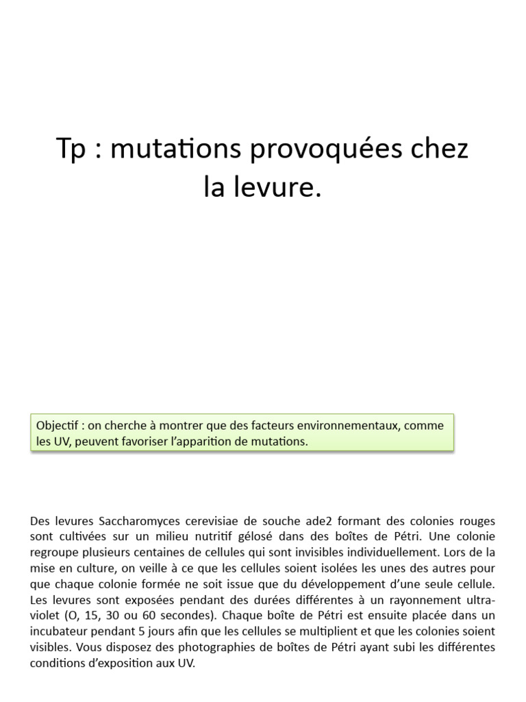 Mutations UV chez la levure ade2 | PDF | Saccharomyces cerevisiae ...