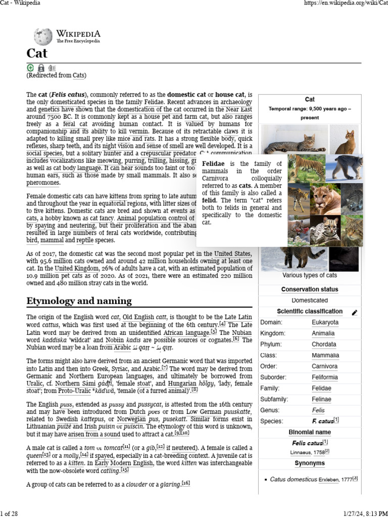 Domestic Cat: History & Facts | PDF | Cats | Umami