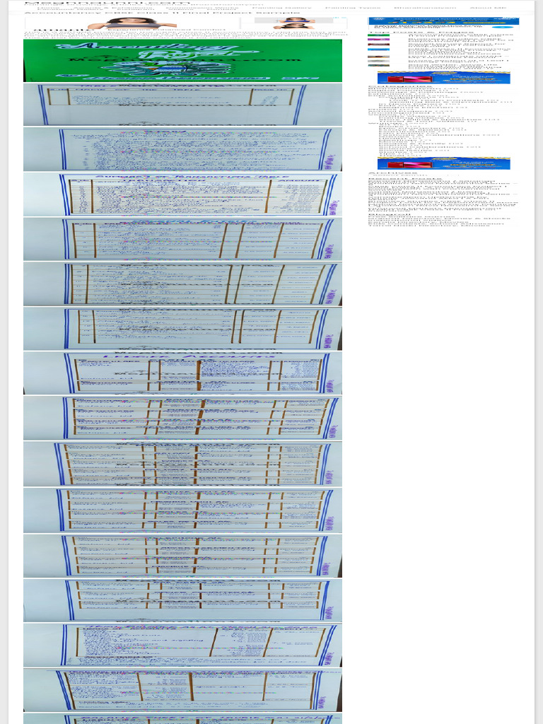 Accountancy CBSE Class 11 Final Project Sample | PDF