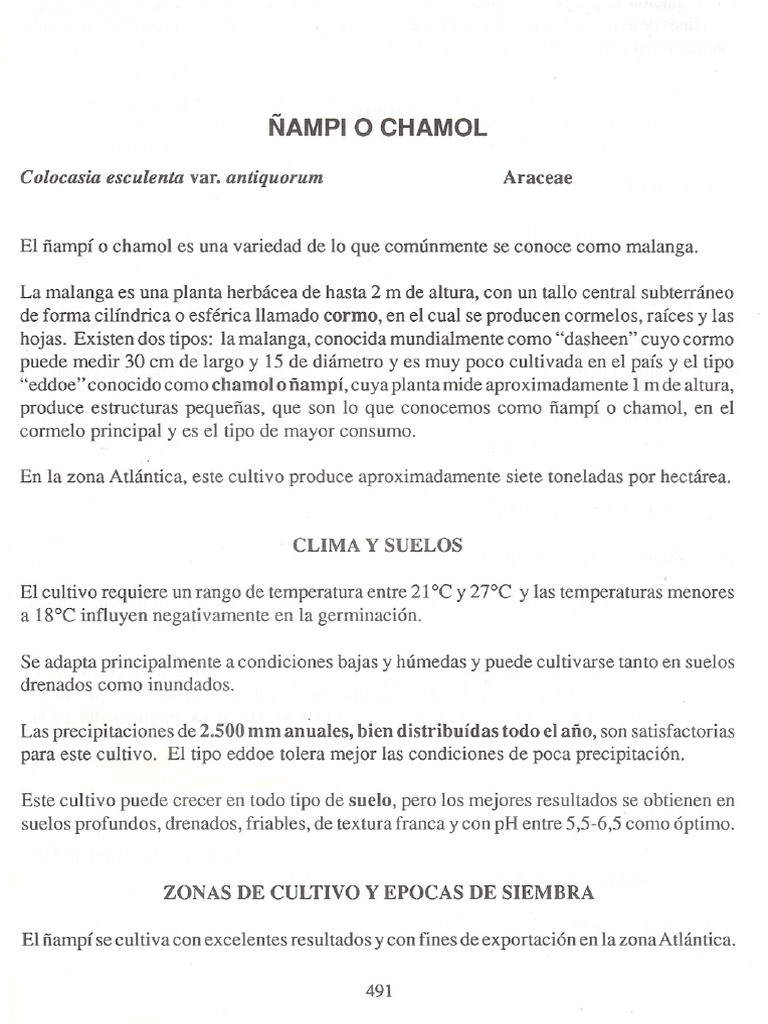 Cultivo y manejo del ñampí o chamol | PDF | Agricultura | Siembra
