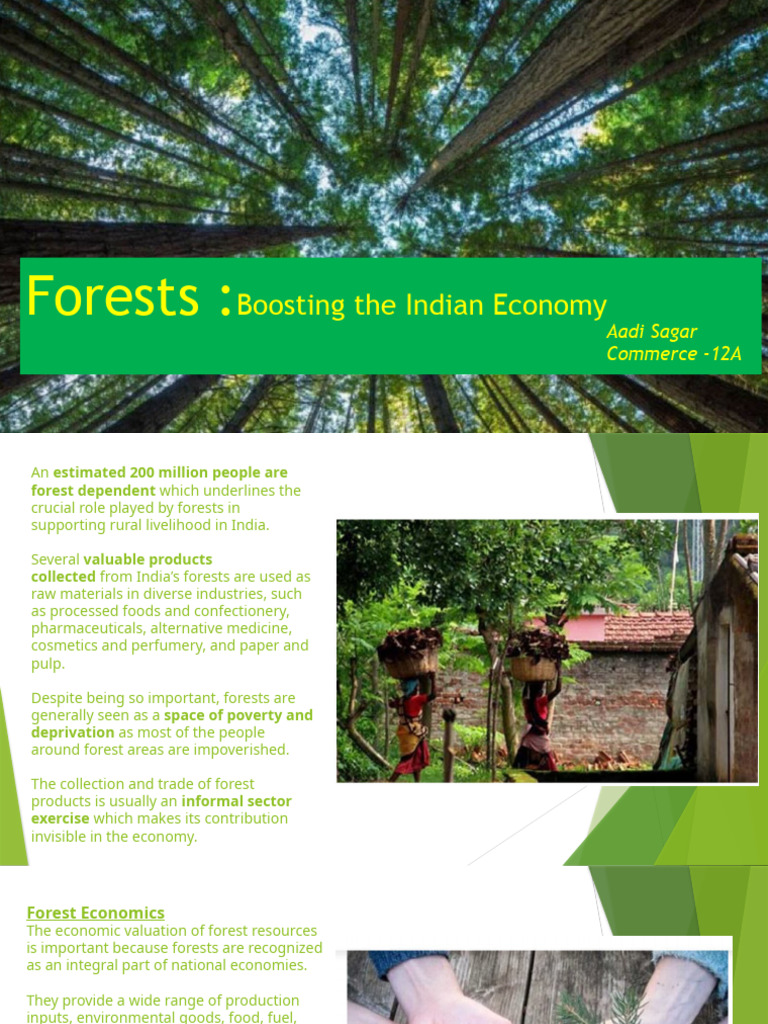Forests - Boosting The Indian Economy | Download Free PDF ...