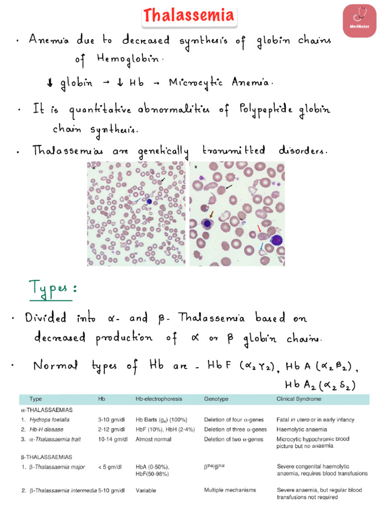 Thalassemia | PDF | Diseases And Disorders | Hematology