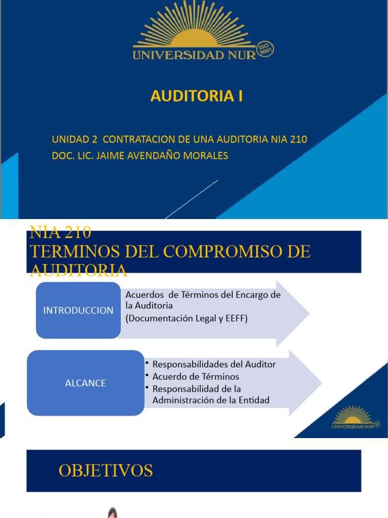 Términos de Contratación de Auditoría | PDF | Auditoría | Contralor
