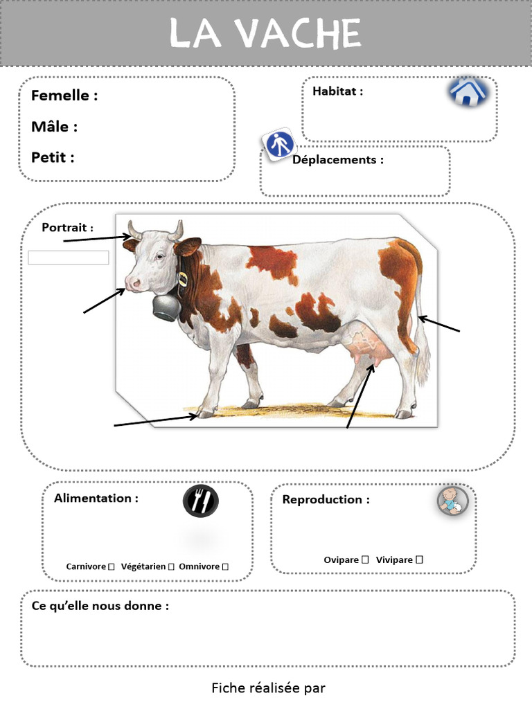 Cartes D Identite Animaux | PDF | Mâle | Femelle