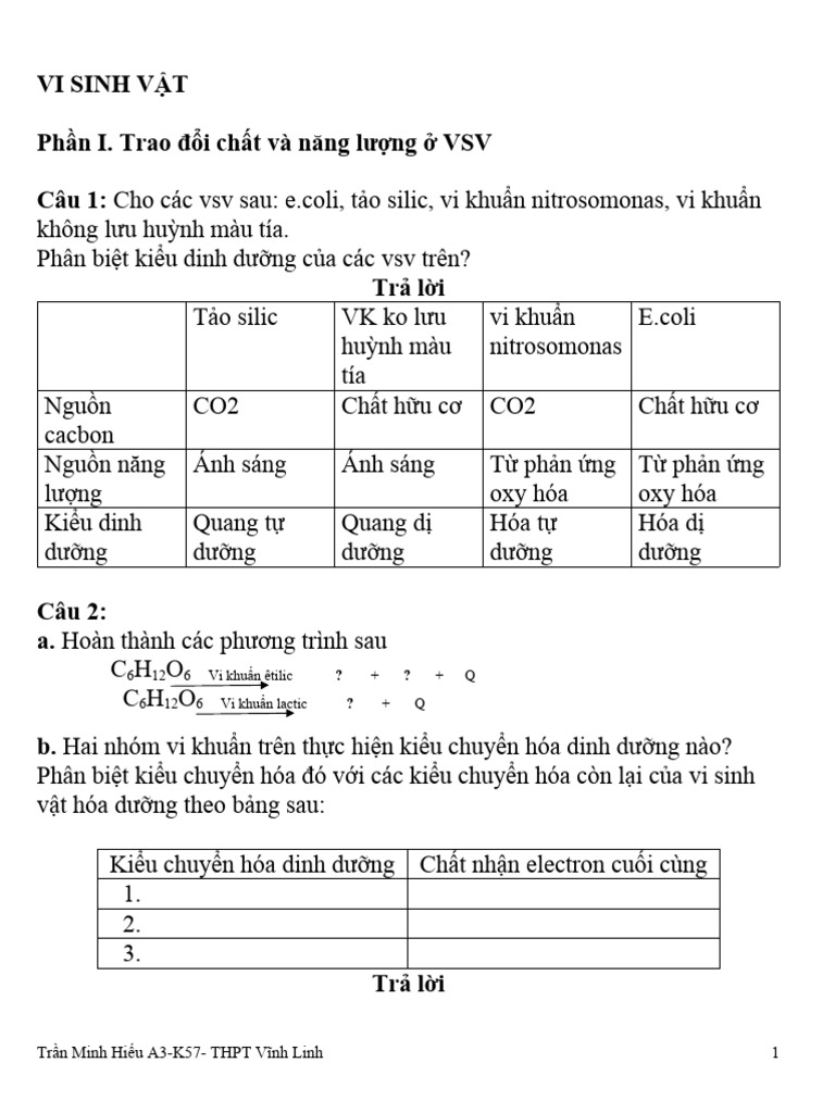 VI SINH VẬT-phân 1 | PDF