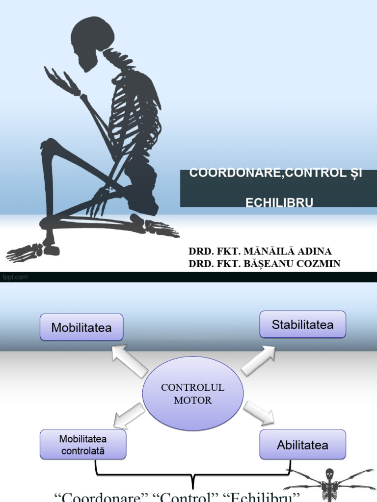 Coordonare Control Echilibru | PDF