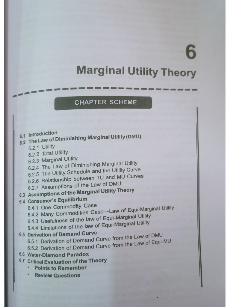 Chapter 6 Marginal Utility Theory | PDF