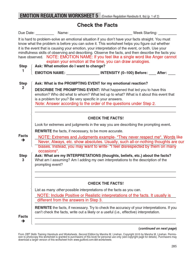 Emotion Regulation Check The Facts Worksheet | PDF | Emotions | Thought
