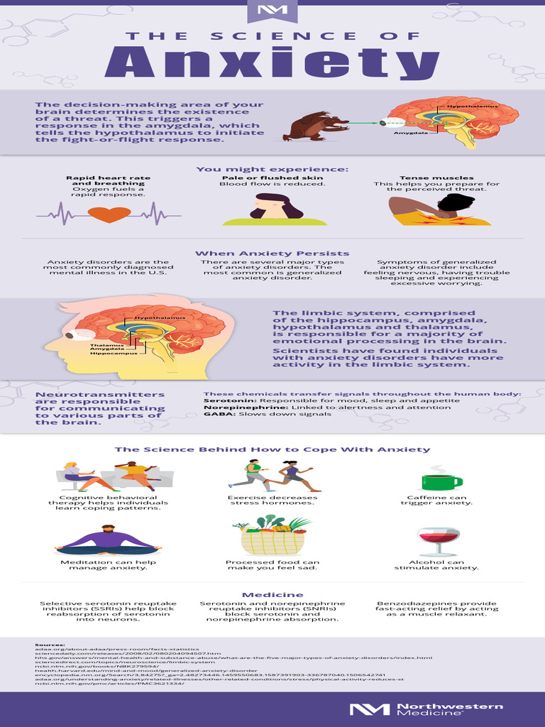 Science of Anxiety - Infographic | PDF | Anxiety | Serotonin