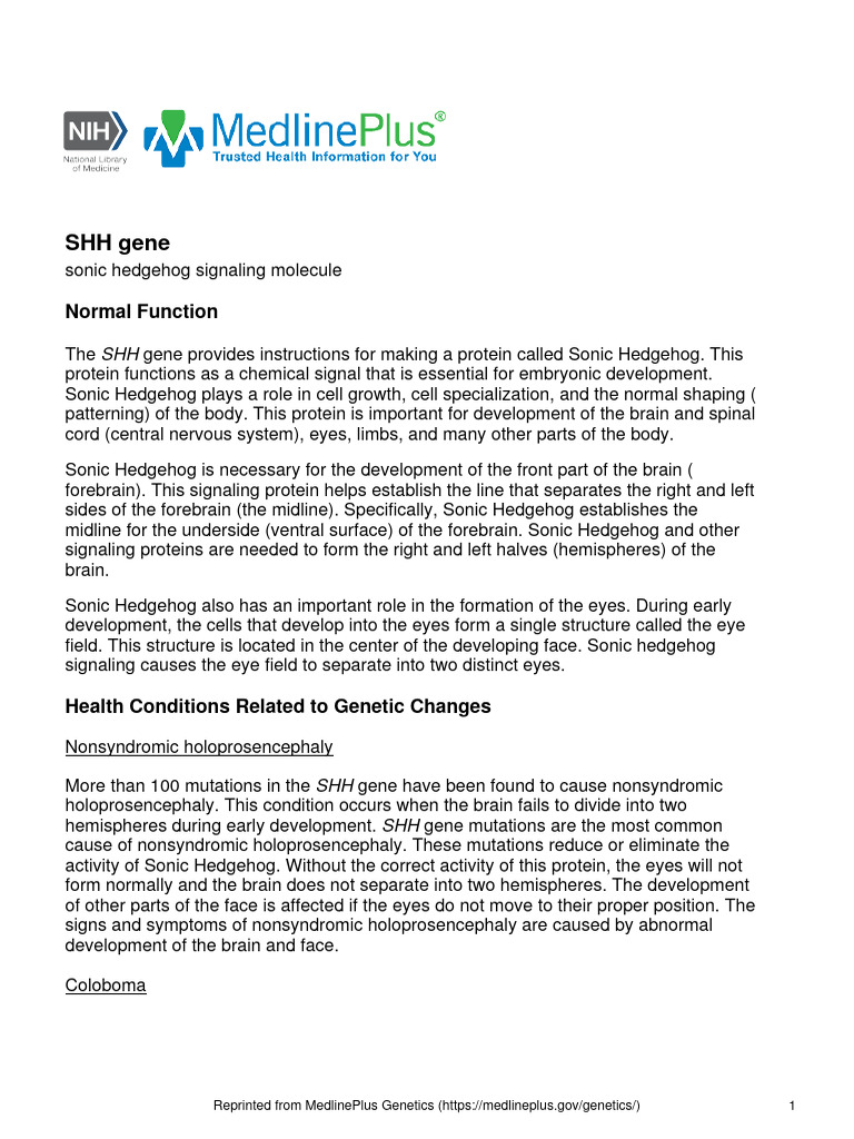 SHH Gene: Normal Function | PDF | Biotechnology | Biochemistry