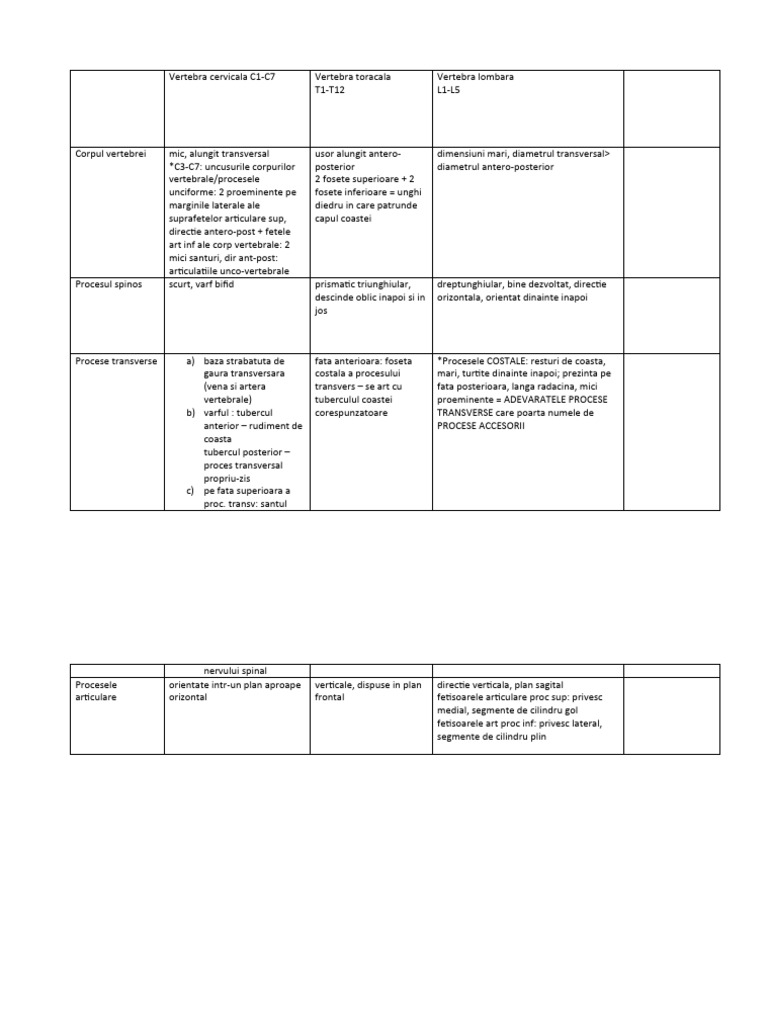 Vertebra Cervicala C1 | PDF