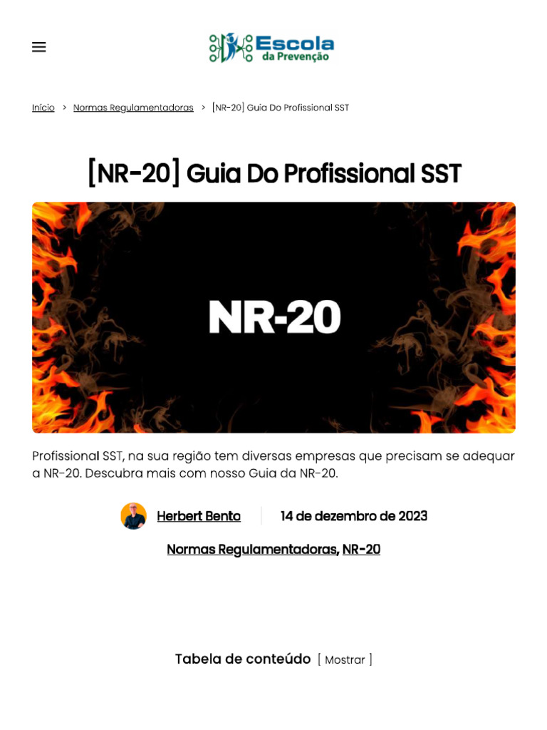 NR 20 Guia Do Profissional SST | PDF