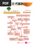 Class10 Heredity PYQs | PDF