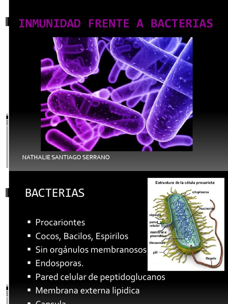 Inmunidad Frente A Bacterias | PDF | Sistema inmune | Citocina