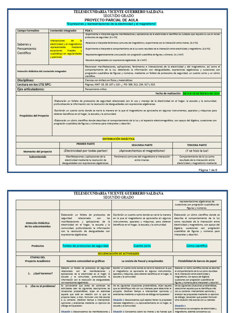 Proyecto Electricidad y Magnetismo SPC Febrero | PDF | Evaluación | Creatividad