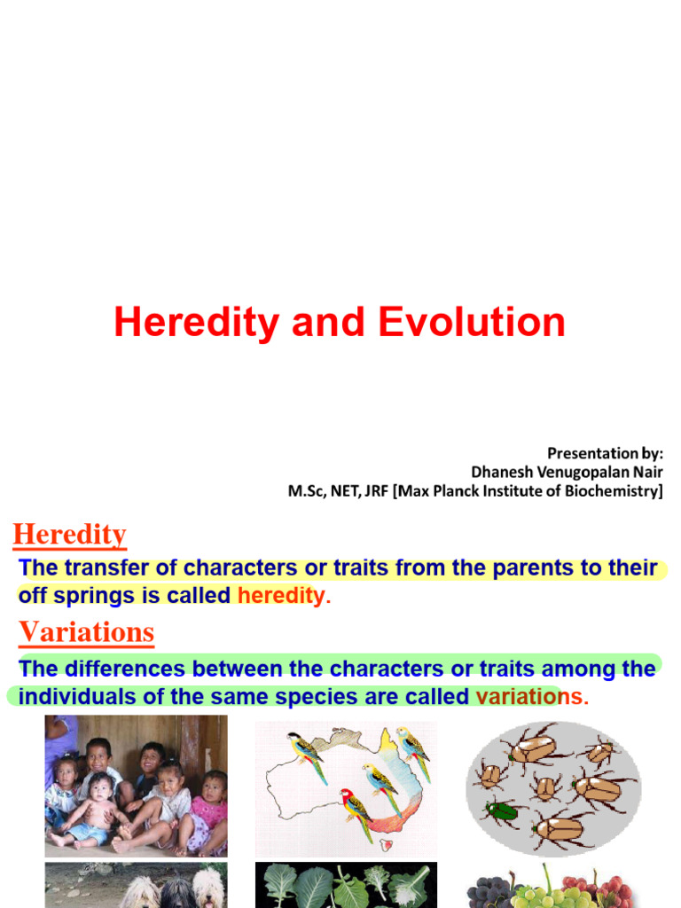 Heredity Complete Notes | PDF | Heredity | Dominance (Genetics)