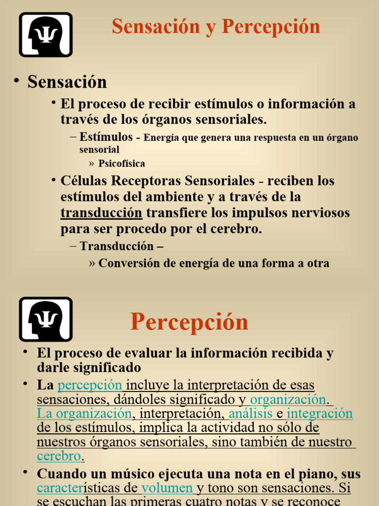 Introducción a Sensación y Percepción | PDF | Ojo humano | Escuchando