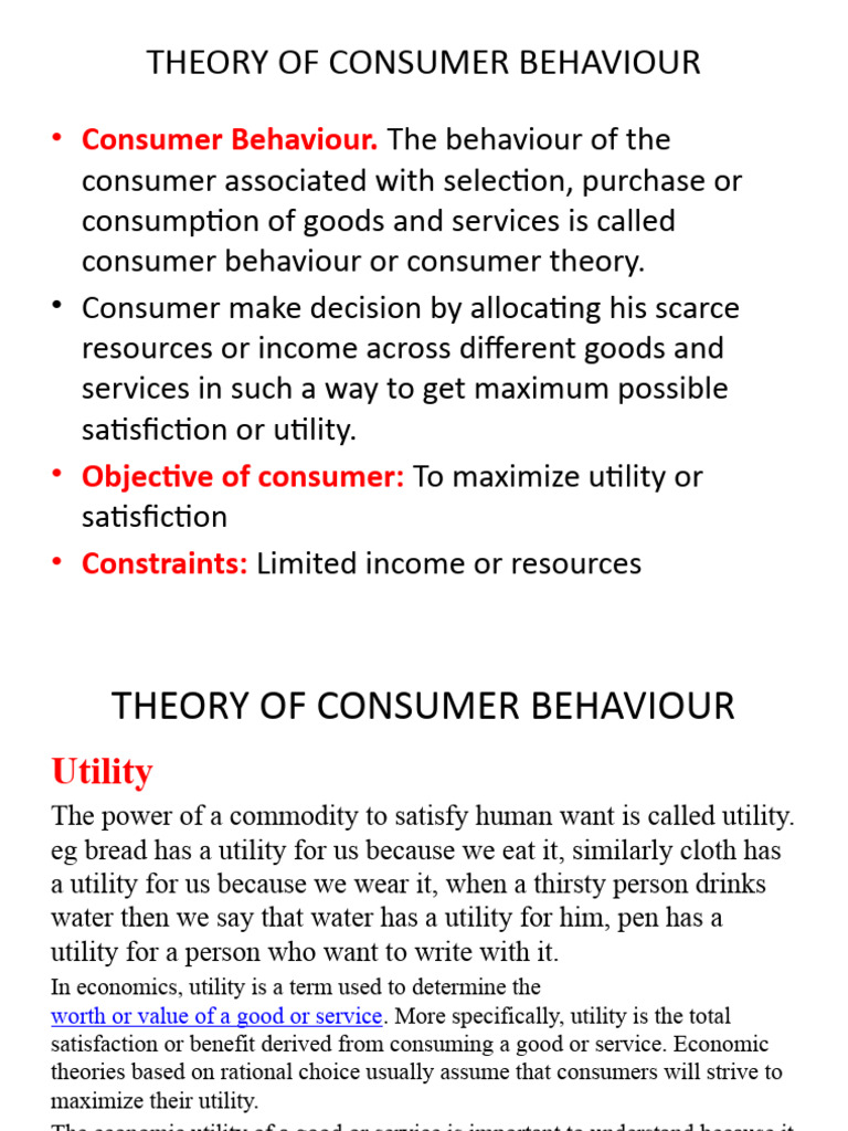 Operational Structure | PDF | Utility | Marginal Utility
