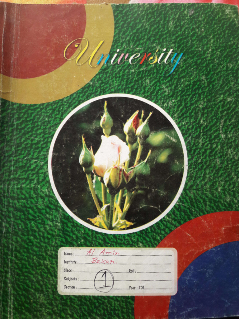 200+ Buet-Based Question Solve | PDF