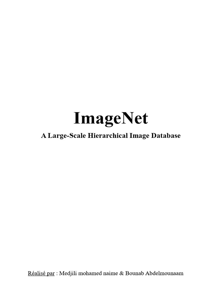 Image Net | PDF | Computing | Information Science