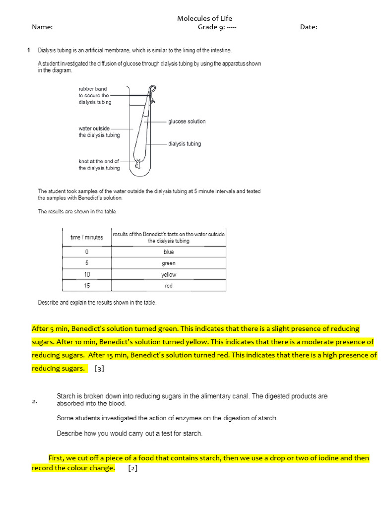 Grade 9 Practice Sheet | PDF