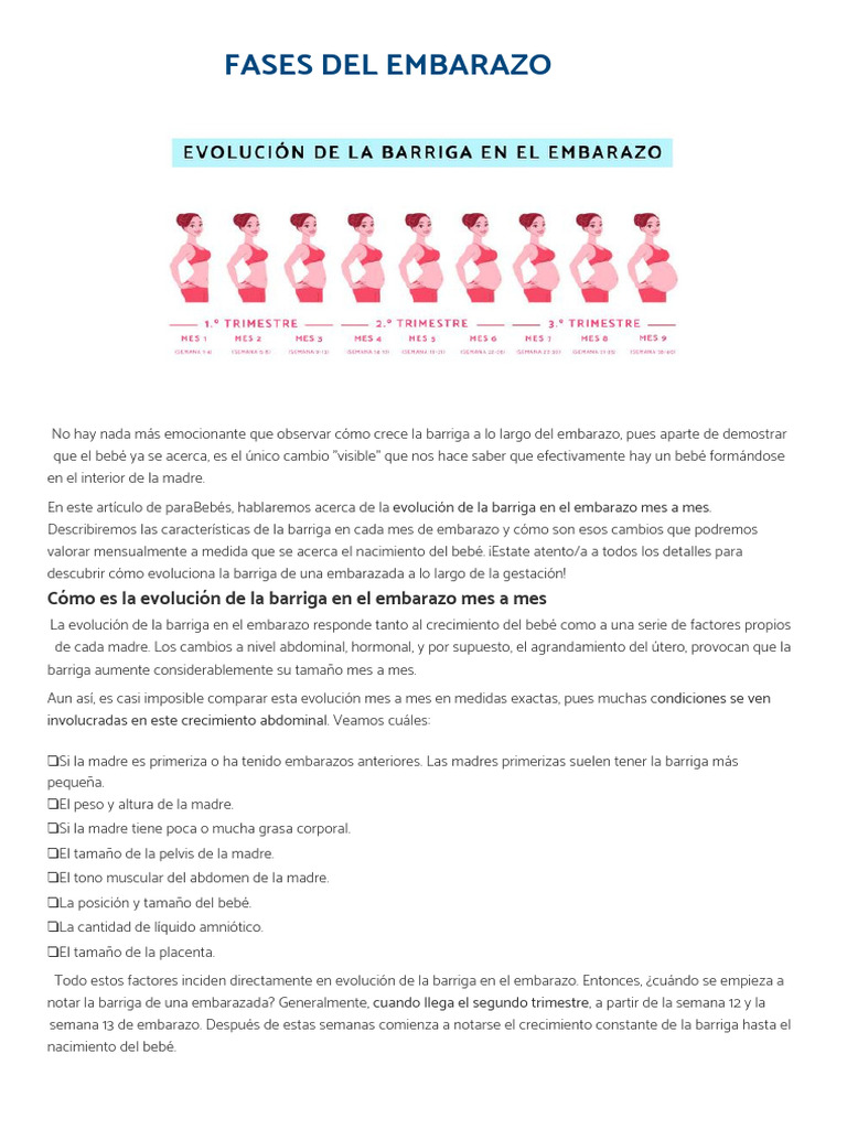 Evolución de la Barriga Mes a Mes | PDF | El embarazo | Abdomen