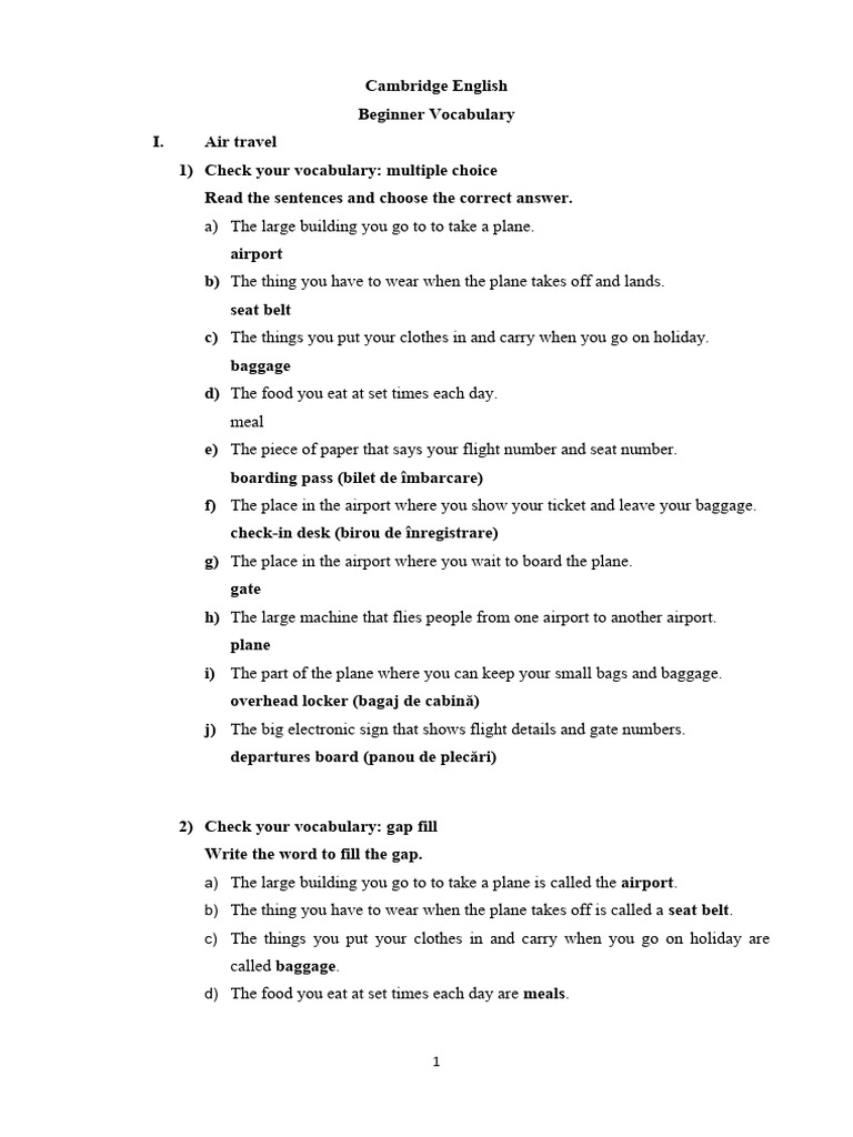 Air Travel Vocabulary Exercises | PDF